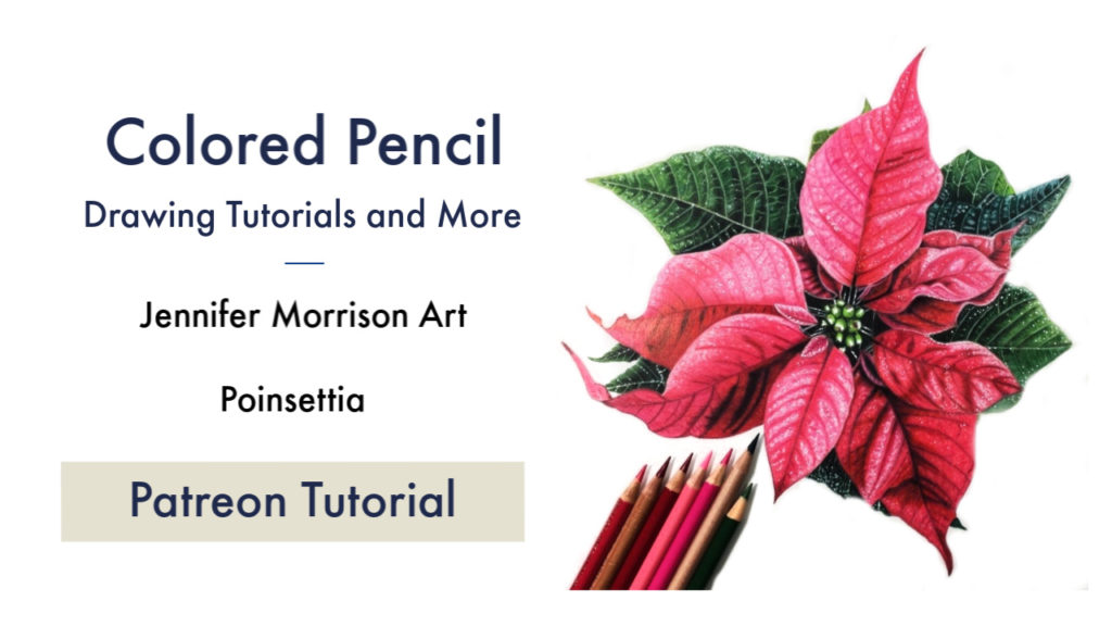 Colored Pencil Drawing Tutorial Poinsettia - Jennifer Morrison Art