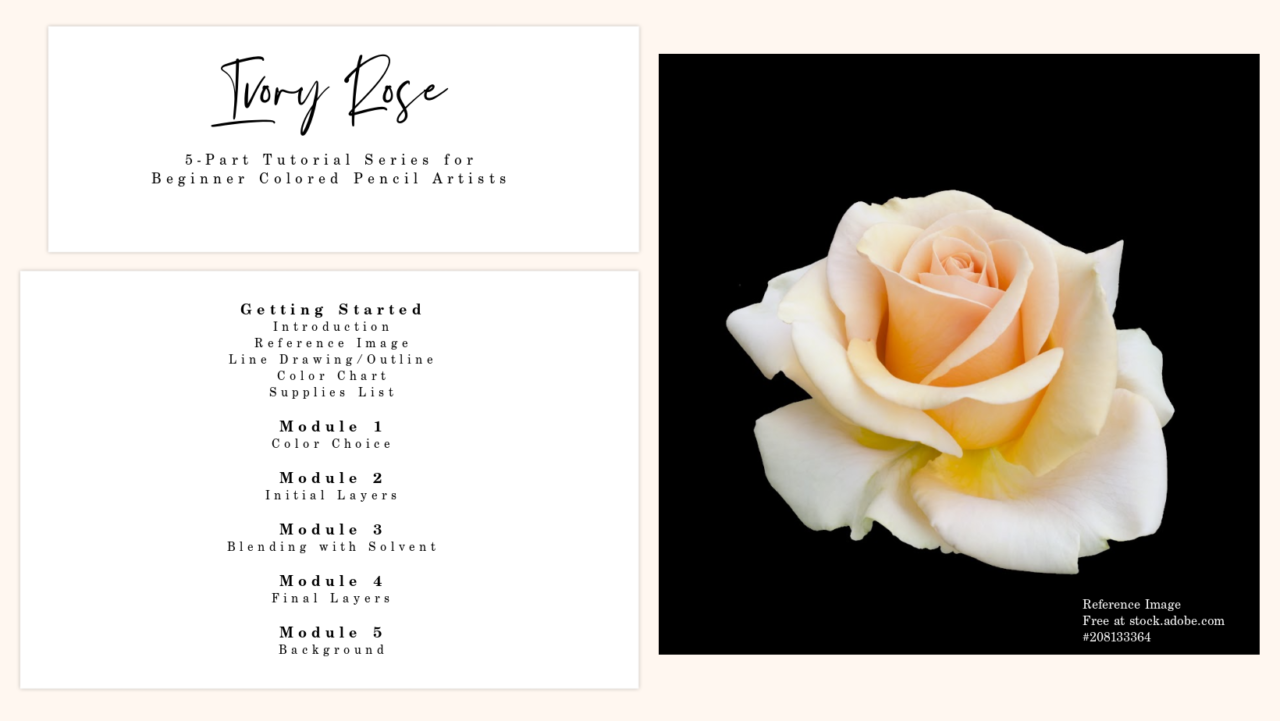 Colored Pencil Drawing Tutorial Ivory Rose - Jennifer Morrison Art