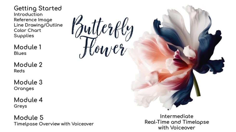 Colored Pencil Drawing Tutorial Butterfly Flower - Jennifer Morrison Art