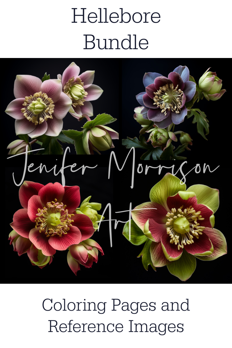 Jennifer Morrison Art / Colored Pencil Drawings, Videos and Tutorials