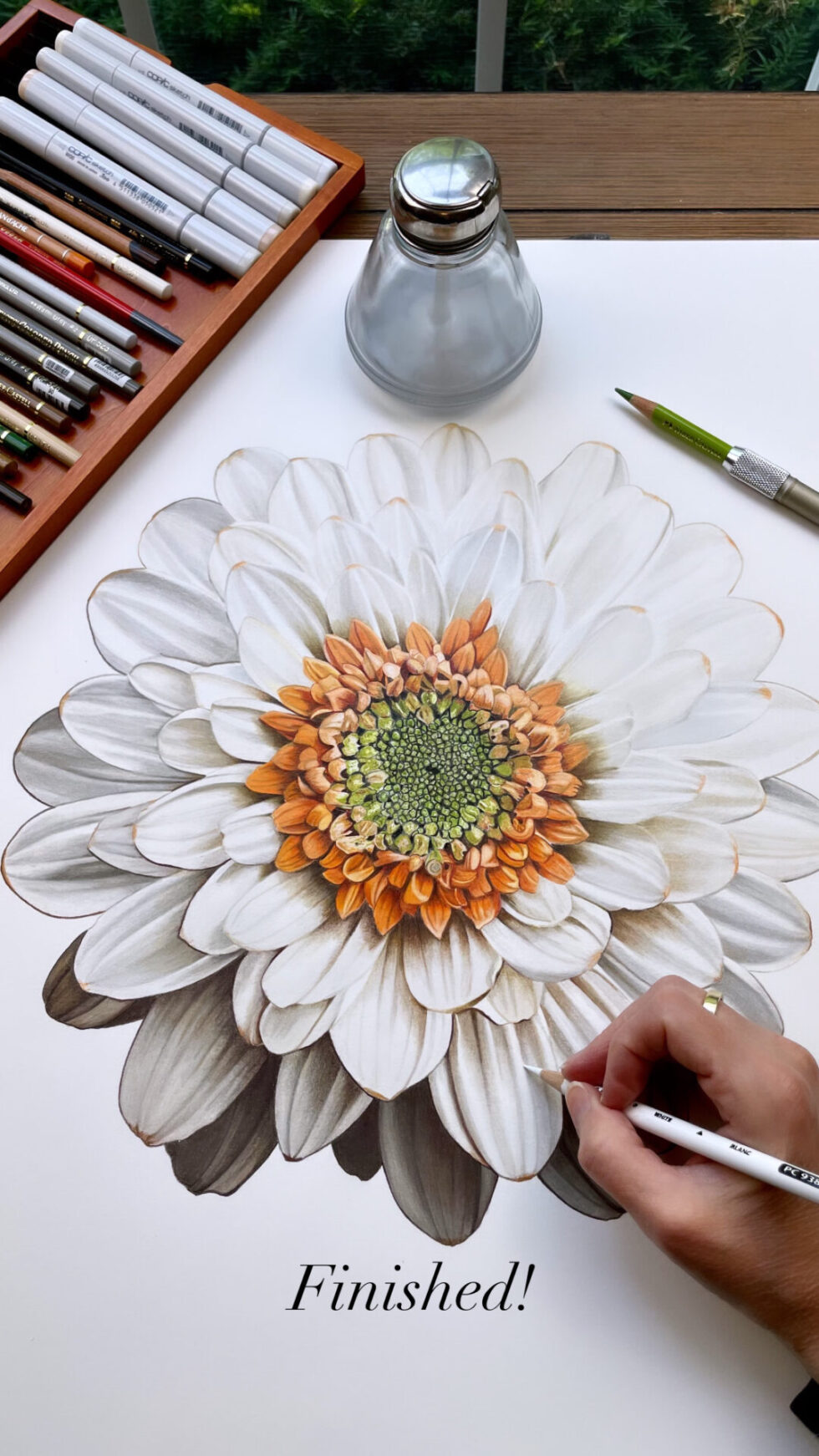 Colored Pencil Drawing Tutorial Ivory and Orange Flower - Jennifer ...