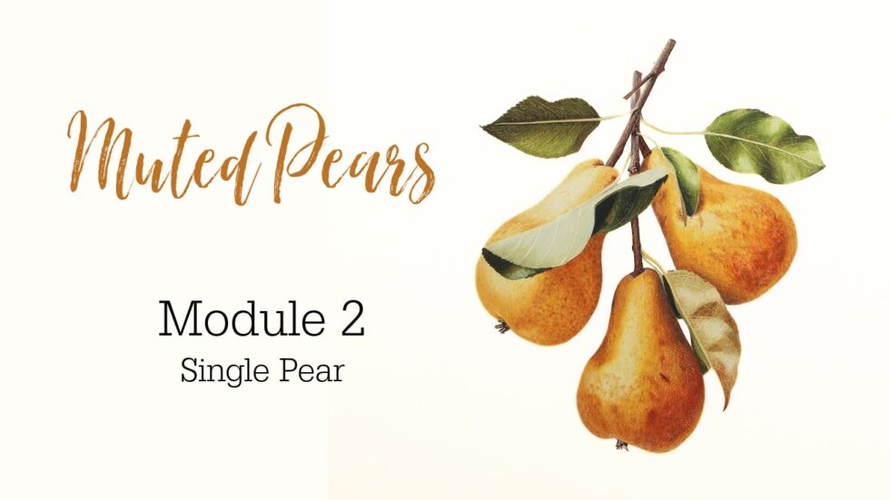 Colored Pencil Drawing Tutorial Muted Pears - Jennifer Morrison Art
